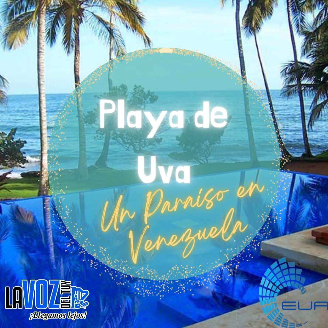 Destinos Encantados: Descubre el Paraíso en Playa de Uva, Estado Sucre ...